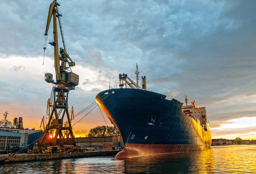 Shipnet - Software tools Maritime for businesses